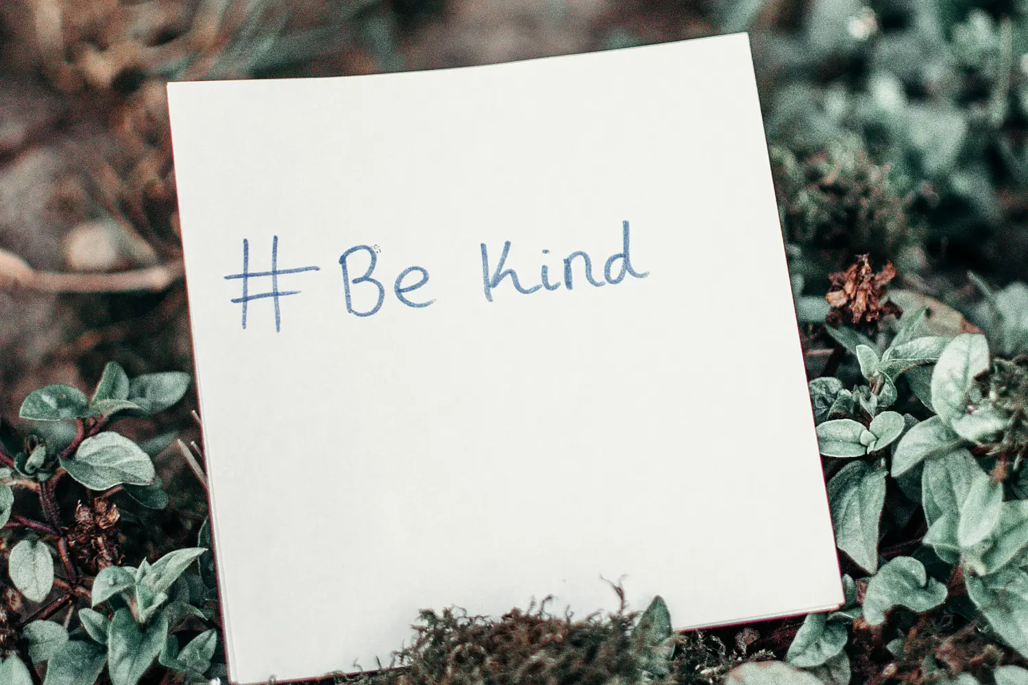 World Kindness Day: Know How Kindness Works in Our Brain