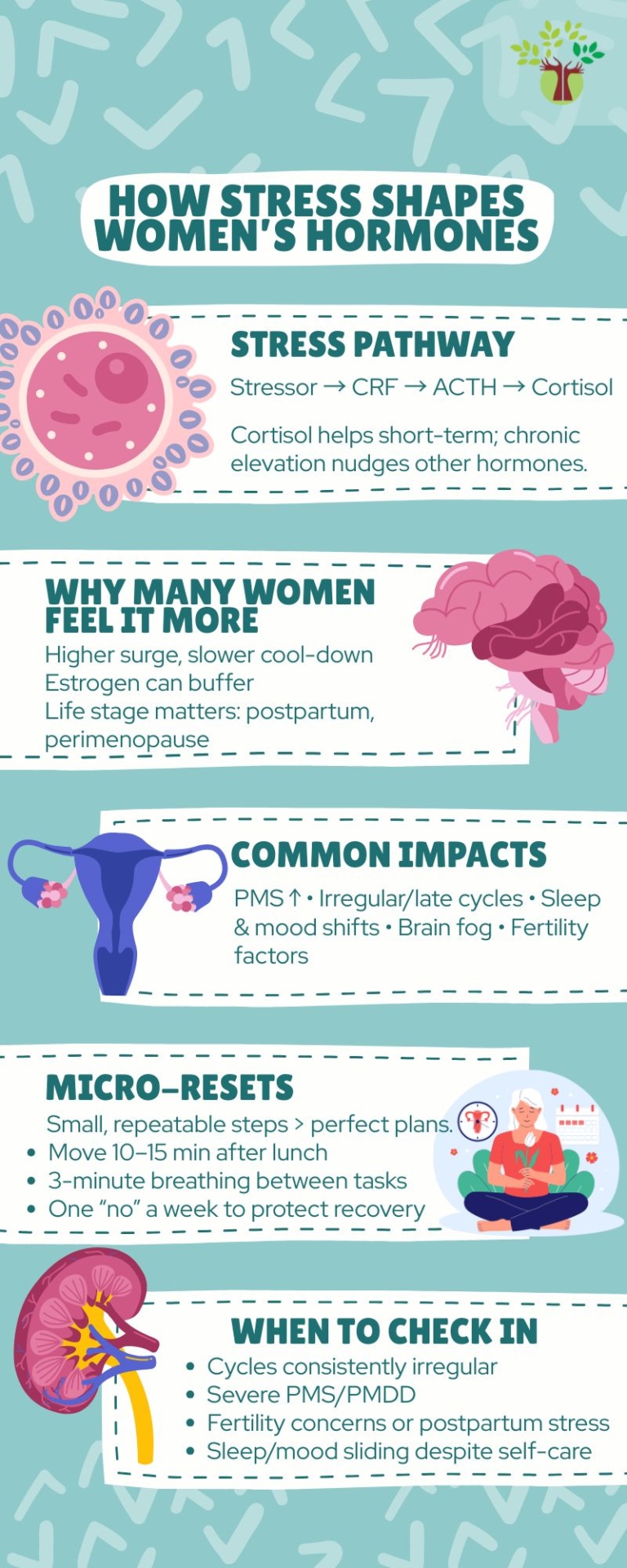 Stress and Women’s Hormones: What to Know